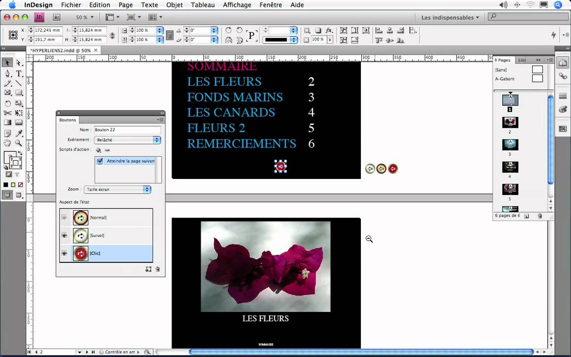 CREER DES BOUTONS INTERACTIFS