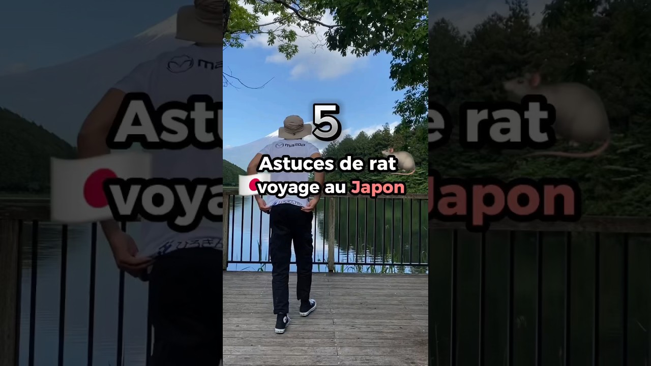 5 Tips for a Cheap Vacation in Japan 🇯🇵