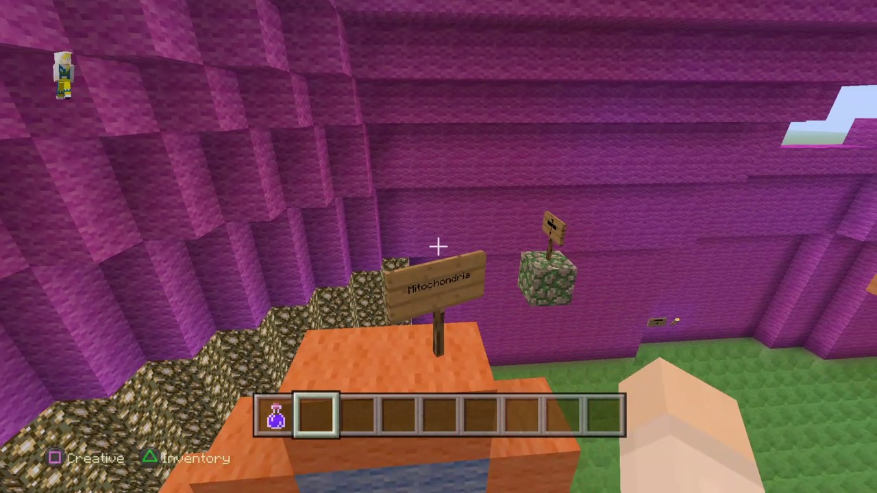 Minecraft Animal Cell  - SG