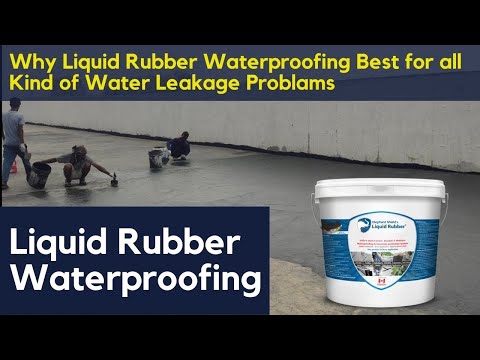 Liquid Rubber - Liquid rubber waterproofing Latest Price, Manufacturers ...