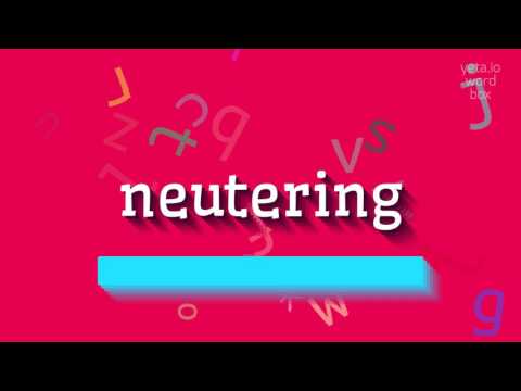 How to say "neutering"! (High Quality Voices)