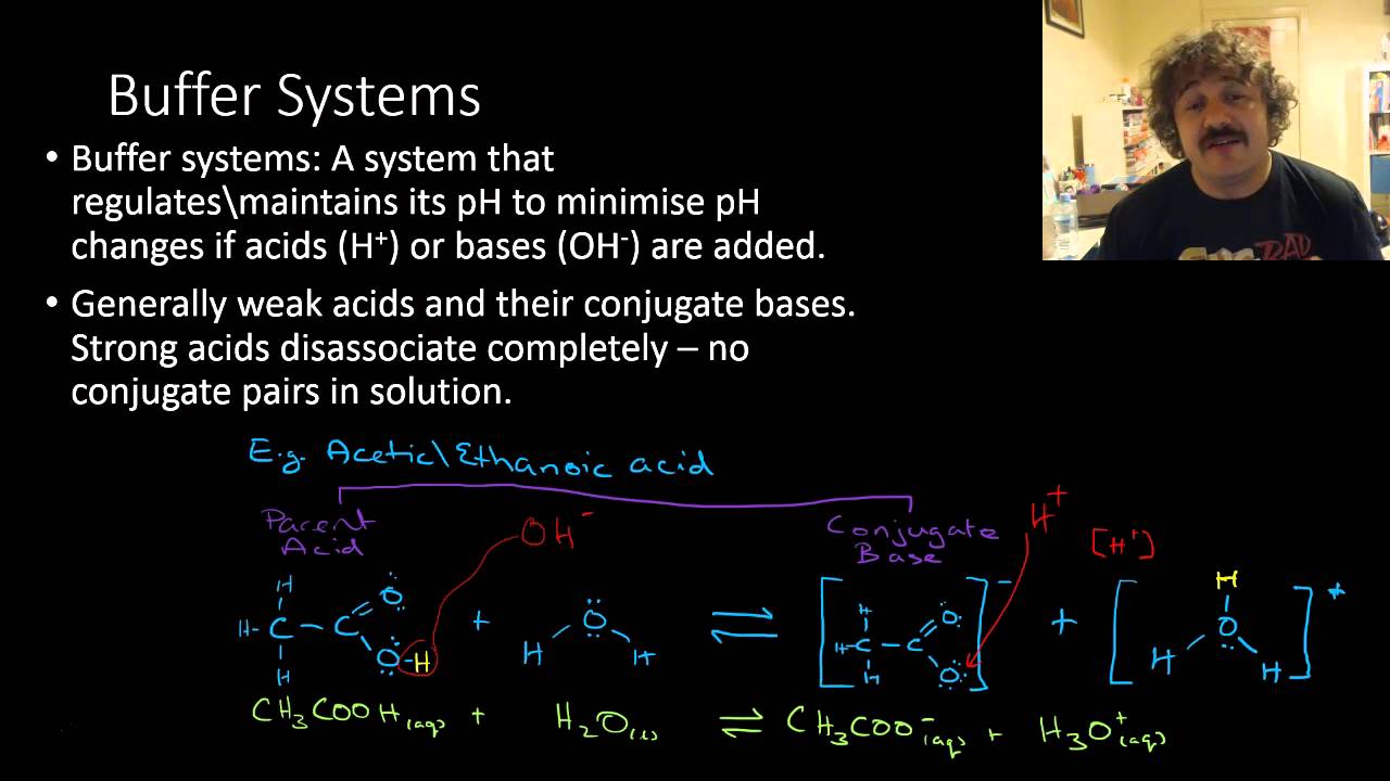 Buffer Systems: Natural Buffer Systems