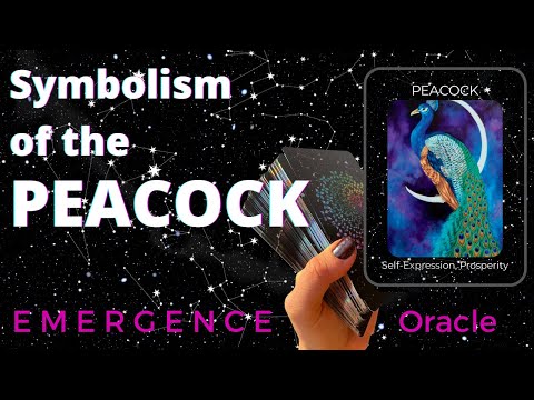 🦚 REBIRTH Yourself Anew! Spiritual meaning of Peacock from the E M E R G E N C E Oracle 🦚✨