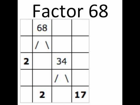 Factor A 68