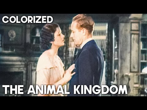 The Animal Kingdom | COLORIZED | Ann Harding | Classic Romantic Movie