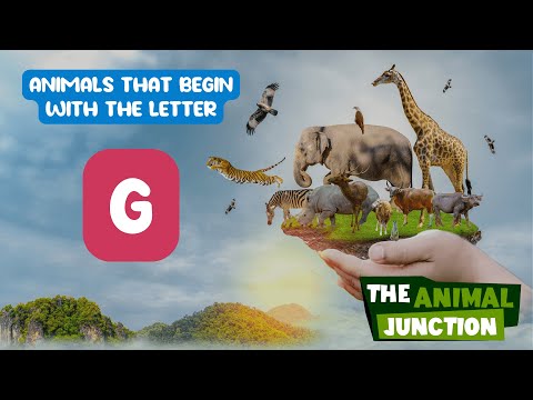Animals That Start With G | The Animal Junction