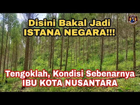 Menengok IKN Nusantara Yang Sebenarnya, KAMU HARUS TAHU LOKASI INI !!!