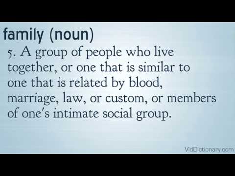 family - definition