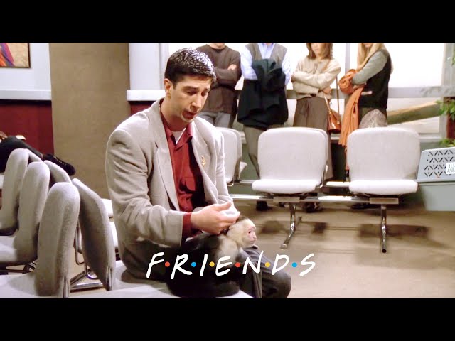 “Everybody hated”: Friends guest star Melora Hardin revealed why it was ...