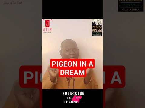PIGEON IN A DREAM#dreams#pigeons#dreaminterpretations#pigeotrap#horoscope#fyi#love#dreamsymbols#nike