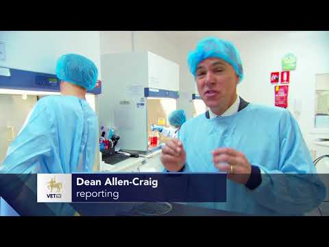 Nick Bova & Bova Compounding - Explaining Veterinary Compounding