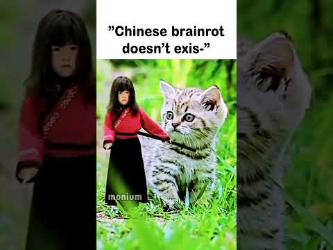 Chinese Brainrot