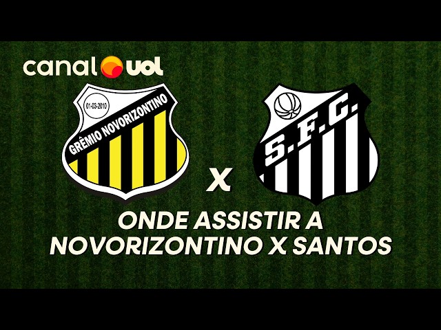 Transmissão ao vivo de Novorizontino x Santos pela Paulista: veja onde ...