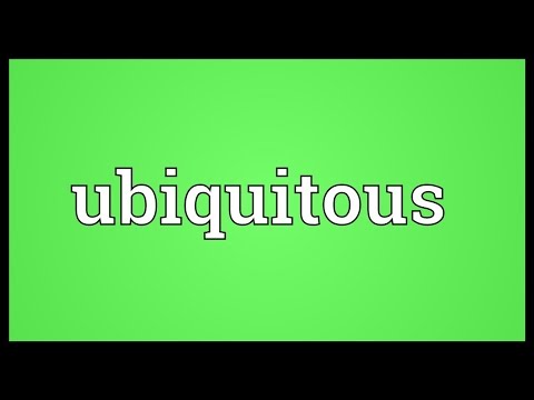 Ubiquitous Meaning