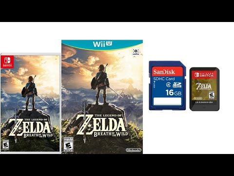 Switch Case and Cartridge vs 3DS, DS, SD Card and more