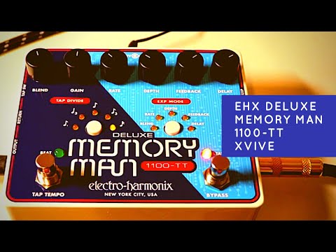 Electro Harmonix Deluxe Memory Man TT1100 iMuso