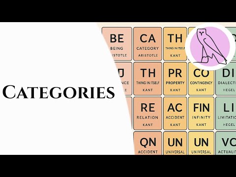 What is category?