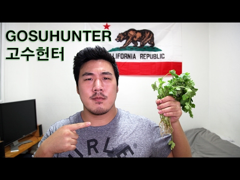 Gosuhunter - Most Koreans Don't Eat Cilantro?! 고수!!!!!