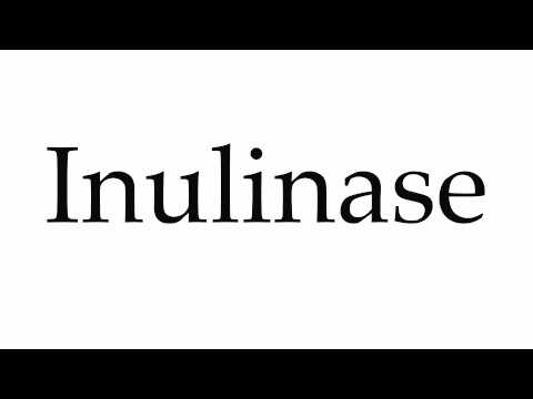 How to Pronounce Inulinase