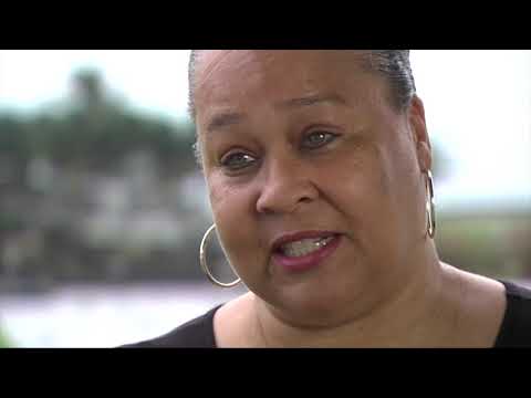 Protecting Paradise: A yearlong look at South Florida environmental issues