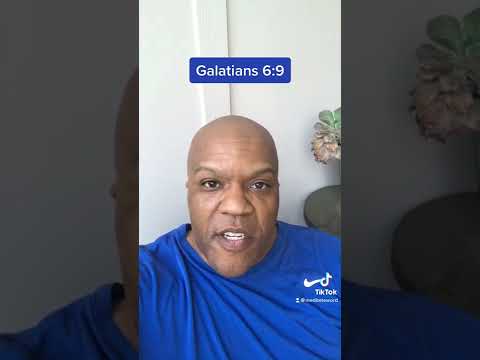 Scripture for today - Galatians 6:9 | Meditate Word | Bible Audio