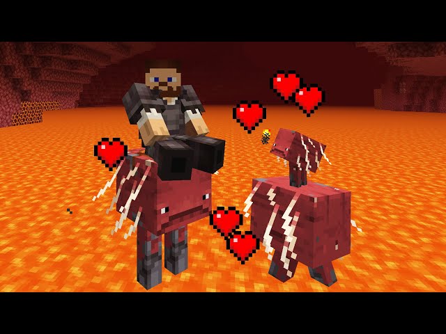 How to find and use striders in Minecraft