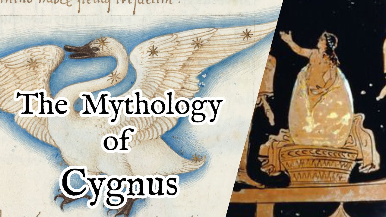 Constellation Mythologies - Cygnus