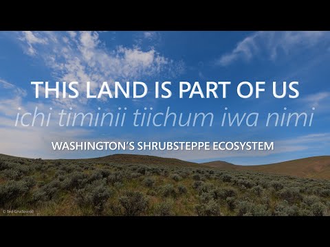 This Land is Part of Us - Full film