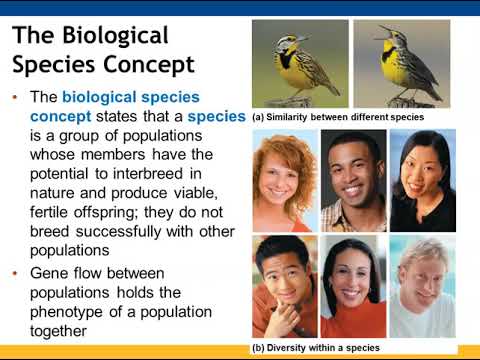 Chapter 24: The Origin of Species