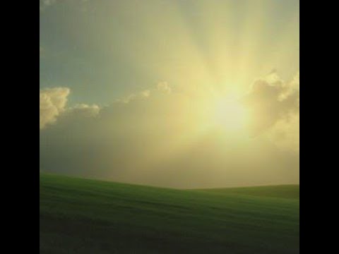 PSALMS 37A song by STI