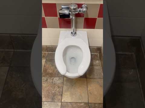 American Standard Madera Afwall Toilet At BJ's