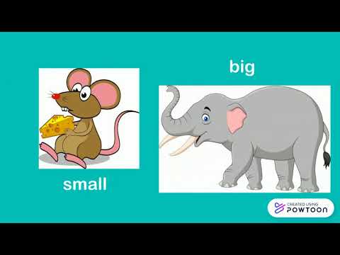 Antonyms by Daisy & Denia