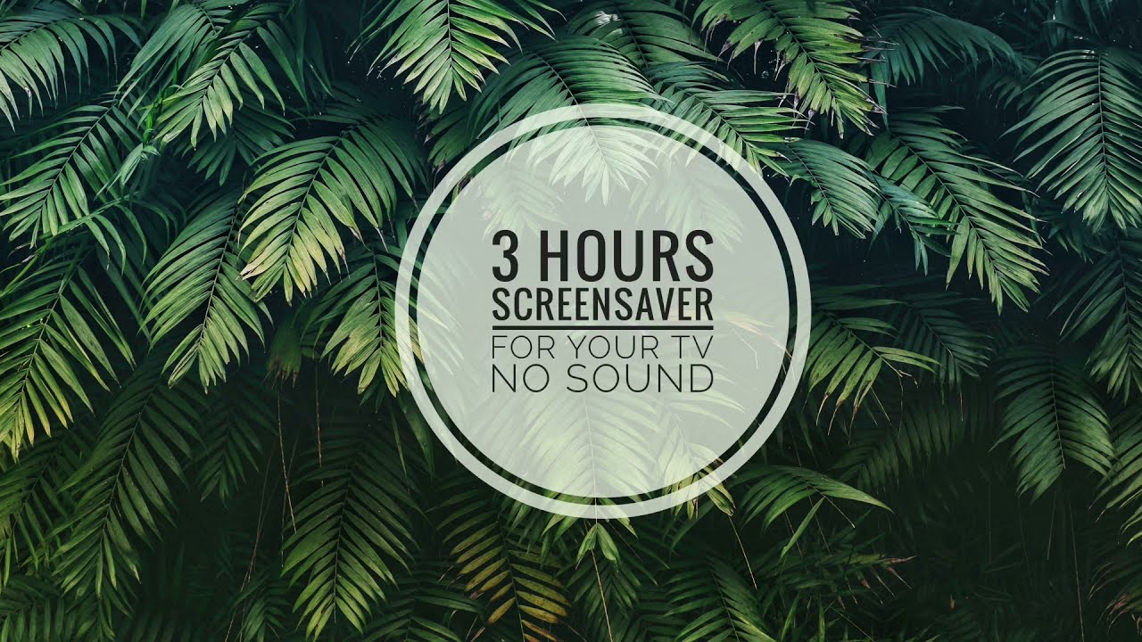 TV art | Leaves Wallpaper | 3 Hours