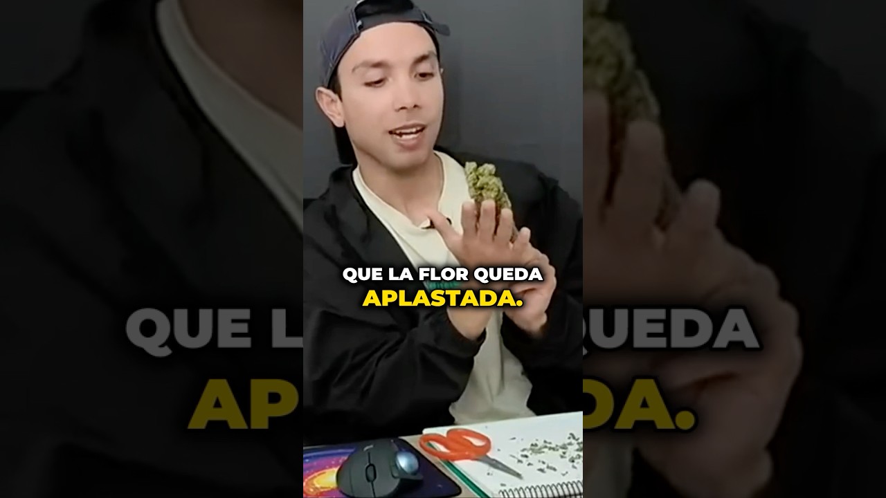 Cómo Seco mi Cosecha?