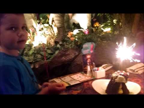 Rainforest Cafe Volcano Dessert : Top Picked from our Experts