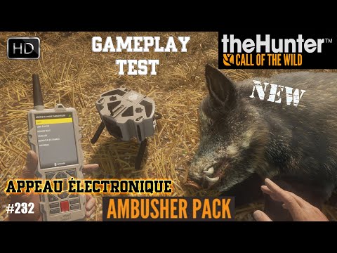 Steam Community :: Video :: THEHUNTER CALL OF THE WILD #232 TEST ET ...