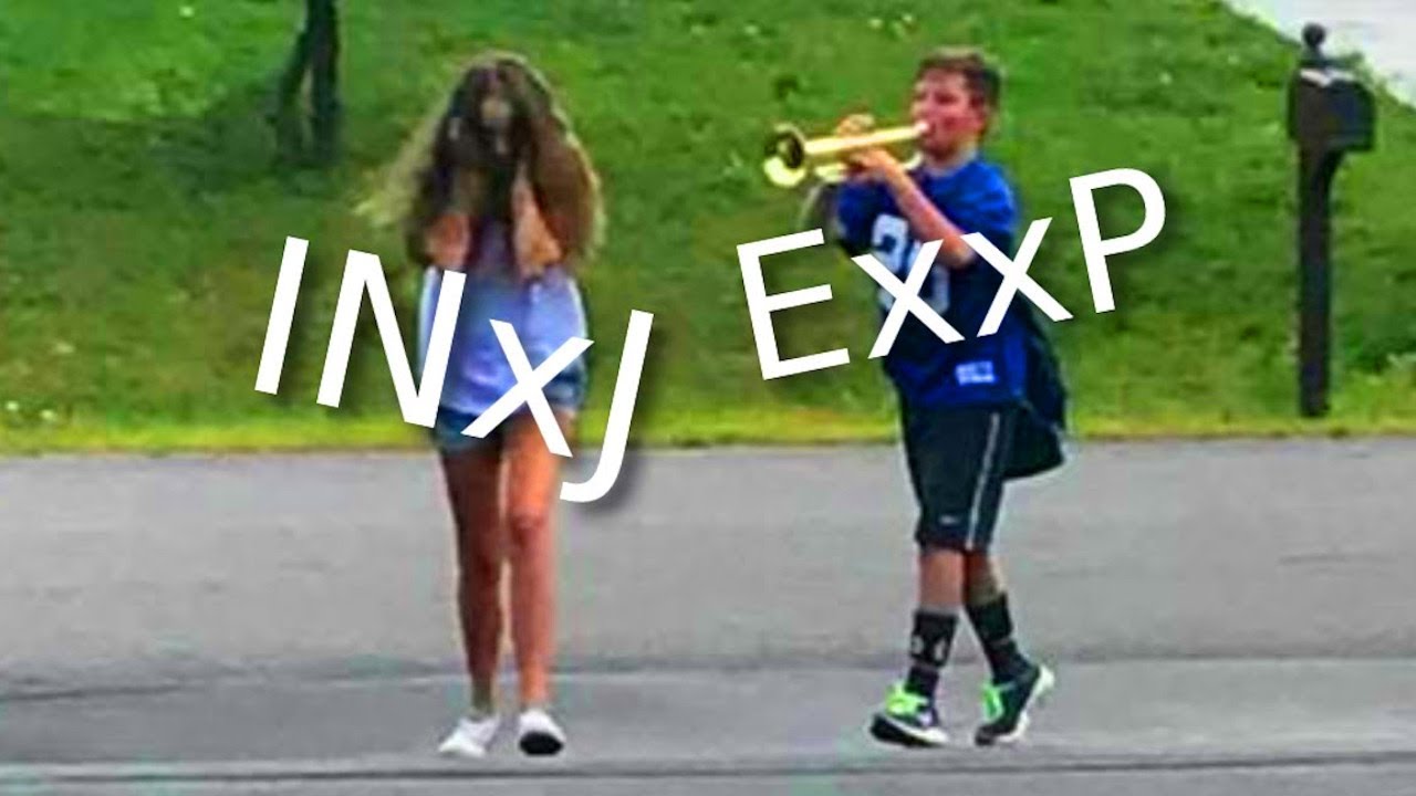 Funny MBTI Memes (16 Personality Types)