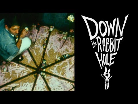 The Mouse Utopia Experiments | Down the Rabbit Hole