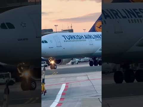 Turkish Airlines at Frankfurt Airport #shorts #planespotting