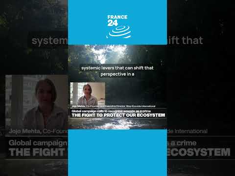 Stop Ecocide International's Jojo Mehta speaks to @FRANCE24 about #EcocideLaw #climatechange