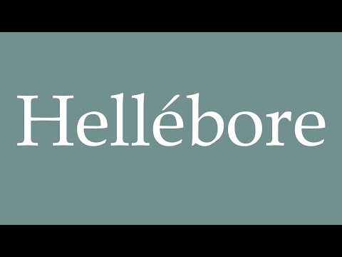 How to Pronounce ''Hellébore'' (Hellebore) Correctly in French