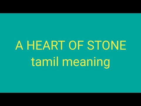 A HEART OF STONE tamil meaning/sasikumar