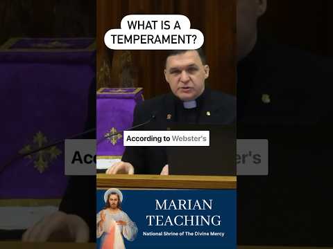 What is a #temperament? Father Anthony Gramlich, MIC, explains. #christian #god #jesus #personality