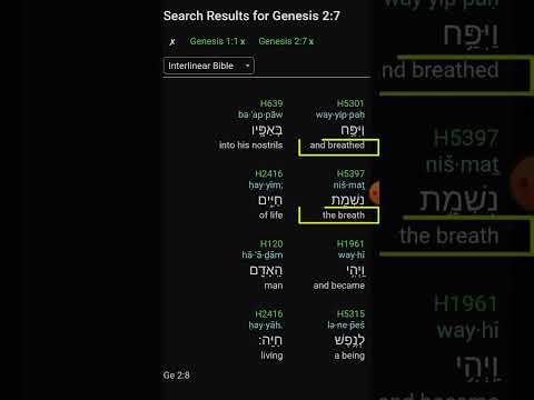 Maximize Your Bible Study: Instantly Access the Interlinear Bible