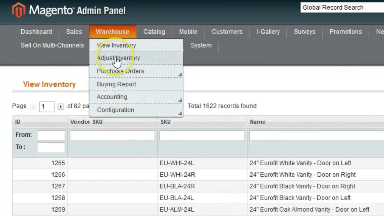 Adjust Inventory - Overview
