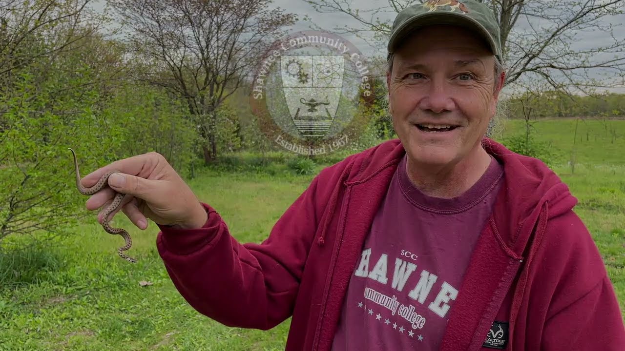 Science in Seconds: Dekay's Brown Snake