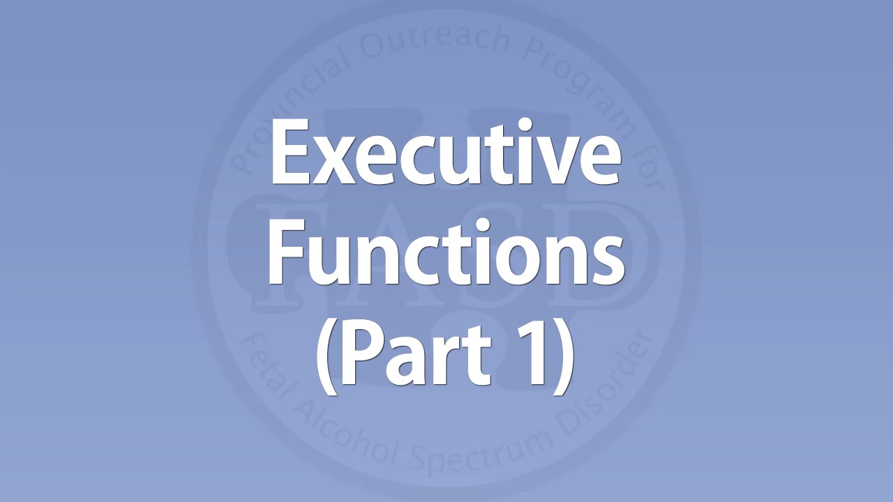 Executive Functions (Part 1)