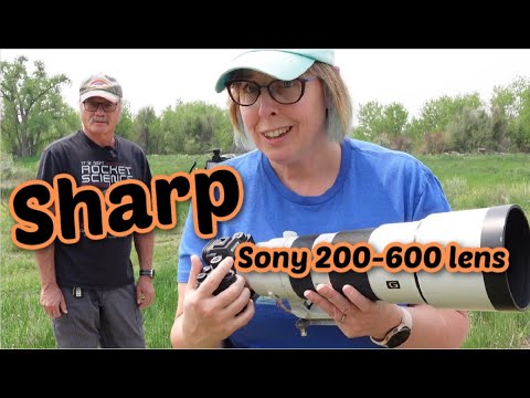 Sony 200-600 Lens 12 tips for MAXIMUM FOCUS