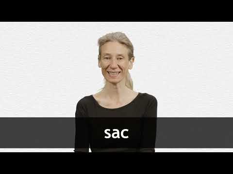 English Translation of “SAC” | Collins French-English Dictionary