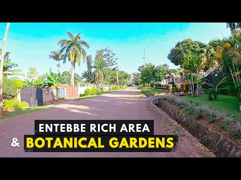 Entebbe Botanical Gardens And The Rich Neighborhood